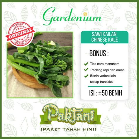 Jual 50 Benih Sawi Kailan Hijau Chinese Kale Sayuran Unggul Paktani