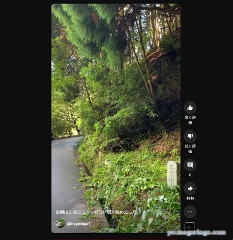 Youtubeのショート動画を通常のプレイヤー画面で再生できるchrome拡張機能 『shorts Deflector』 Pcあれこれ探索