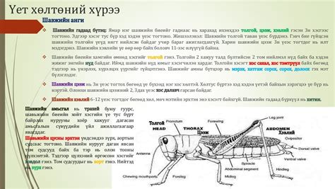 Биологийн төрөл зүйл