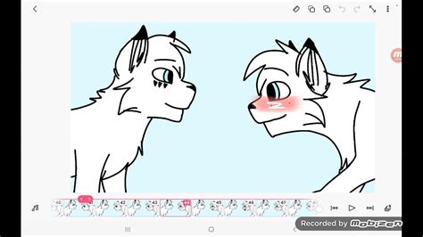 Я новая квшница Мой сериал Коты воители 1 серия 1 сезон Youtube