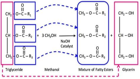 Transesterification Reaction For Biodiesel Production 12 Download Scientific Diagram