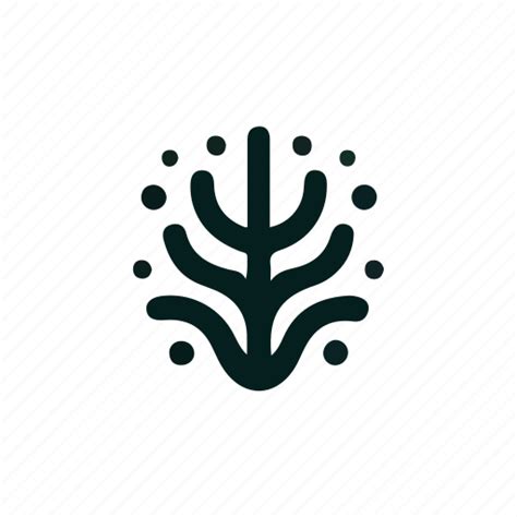 Seaweed Algae Red Algae Aquatic Plant Marine Biology Kelp