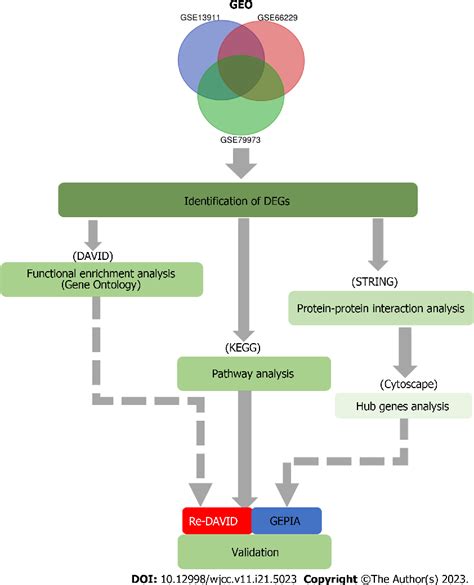 Figure 1 From Identification Of Functional Genes Regulating Gastric Cancer Progression Using