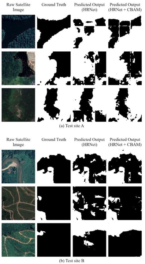Attention Based Semantic Segmentation Networks For Forest Applications