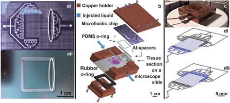 Design Of The Microfluidic System A The Microfluidic Chip Consists