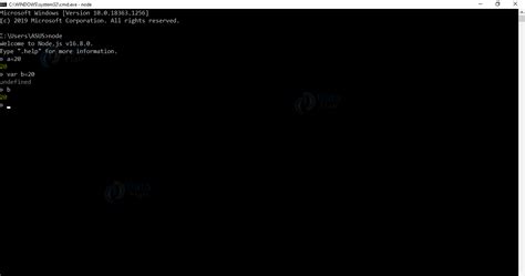 Node Js Repl Terminal Dataflair