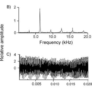 A A Wide Band Width Spectrogram Of A Call Of A Year Old Female Download Scientific Diagram