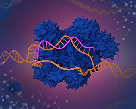 Crispr Guide Rna Grna Synthesis Services Trilink Biotechnologies