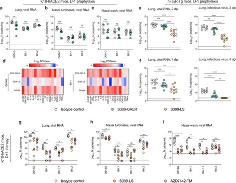 Fc Effector Functions And Mab Mediated Protection Ad Eight Week Old