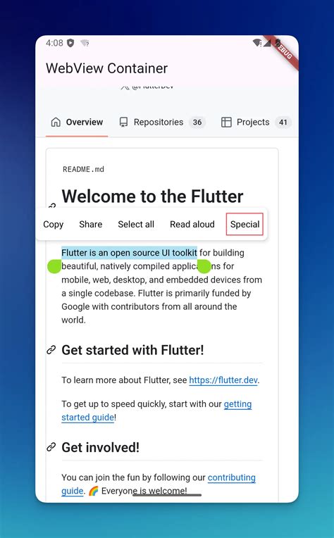 flutter inappwebview插件完整集成教程 2025年最新实战指南 码造社 mazaoshe