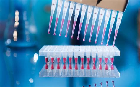 Définition PCR Amplification par PCR Polymerase Chain Reaction