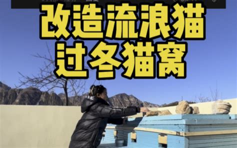制作流浪猫过冬三层猫窝（改造） 五月妈院儿里的小流浪 五月妈院儿里的小流浪 哔哩哔哩视频