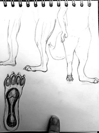 Which Type Of Legs Would Look Better For Me To Draw Furry Amino