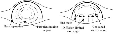 A Schematic Diagram Showing The Streamlines Outside The Sampler And Download Scientific
