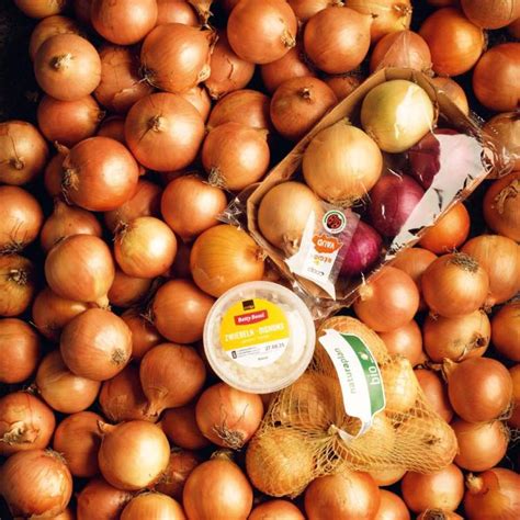 Une Faille Whatsapp Rend Vulnérable Des Millions De Numéros Suisses