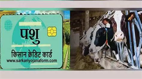 Farmer Credit Card Scheme हरियाणा में किसान पशुपालकों को 4 प्रतिशत