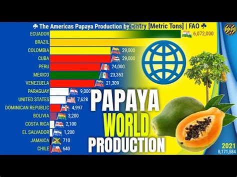 Os Maiores Produtores de Mamão do Mundo Ásia Américas África e