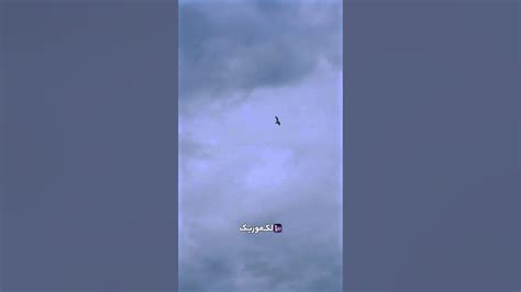 آهنگ علی نریمانی به نام فلک Youtube