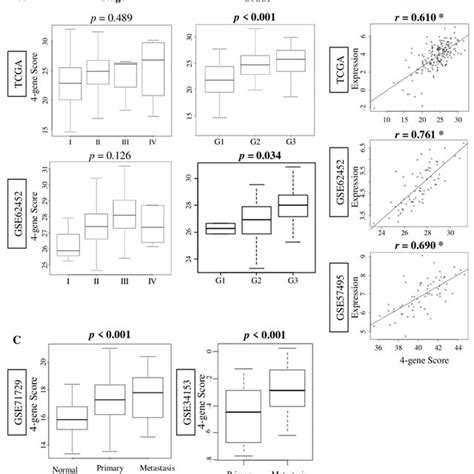 Association Of The Four Gene Score With Cell Proliferation And