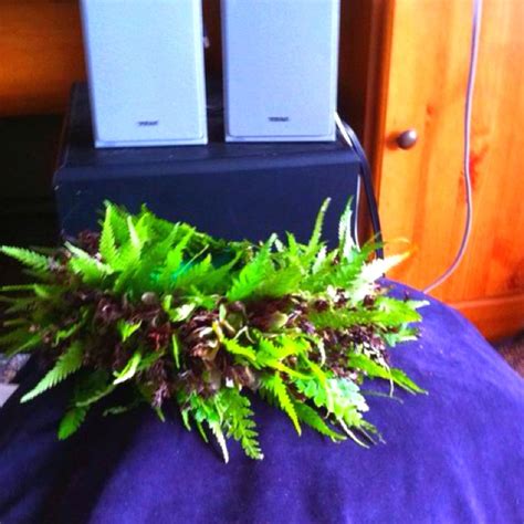 Haku By Kamuhau With Palapalai Liko And Ukiuki Grass