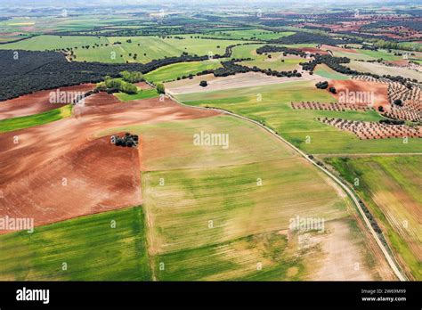 a scenic aerial snapshot capturing the patchwork of agricultural fields