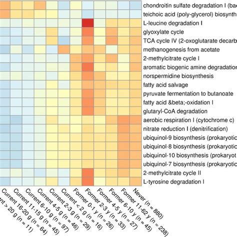 Microbial Metabolic Pathways Inferred With PICRUSt2 That Were