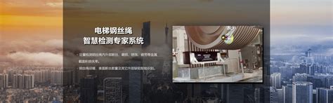 洛阳威尔若普检测技术有限公司 钢丝绳检测仪钢丝绳探伤仪电梯曳引带检测