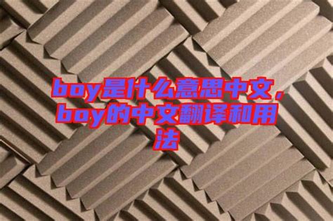 Boy是什么意思中文，boy的中文翻译和用法 楚玉音乐百科