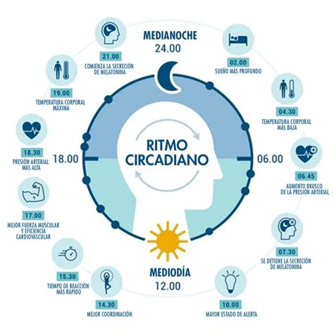 La Importancia De Los Ciclos Regulares De Sueño Y Vigilia
