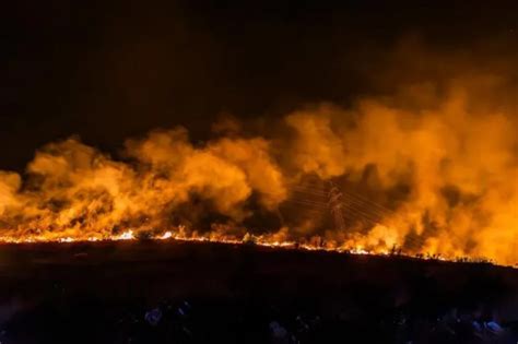Los Incendios Forestales En La Región Occidental De Paraguay Arrasaron