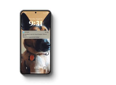 The Best Veterinary Health Service Reminders Petdesk