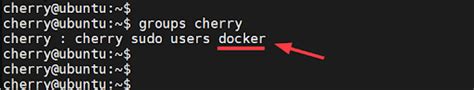 How To Install Docker On Ubuntu 2404 Step By Step Guide Cherry Servers
