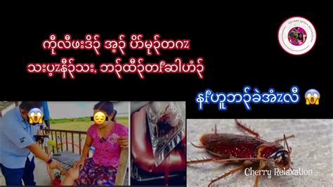 ကီုလီဖးဒိ၃် အ့၃်ပိာ်မု၃်တဂz ဘ၃်ထီ၃်တ၊်ဆါဟံ၃် Youtube