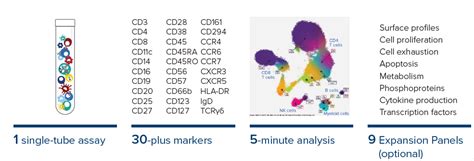 Maxpar Immune Profiling Standard Biotools
