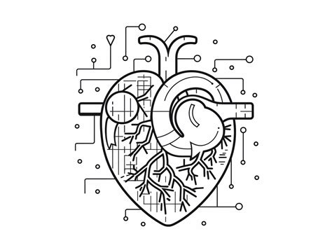 Incredible Heart Anatomy Coloring Coloring Page