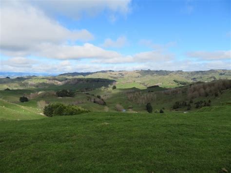 Next Generation 2022 Issue 180 Deer Nz