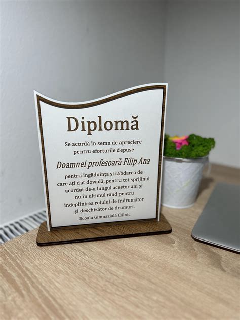 Diploma Cadru Didactic Alexlaserdesign Ro