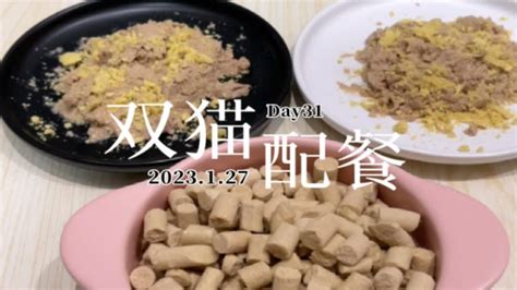 双猫配餐日记Day31 YouTube