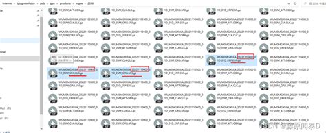 （一）关于rtklib软件使用所涉及数据的获取流程 Csdn博客
