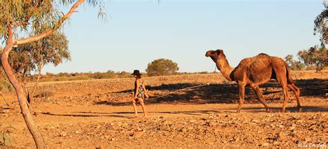 The Camel Girl Foto And Bild Australia And Oceania Australia South