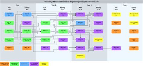 Undergraduate Program Biomedical Engineering