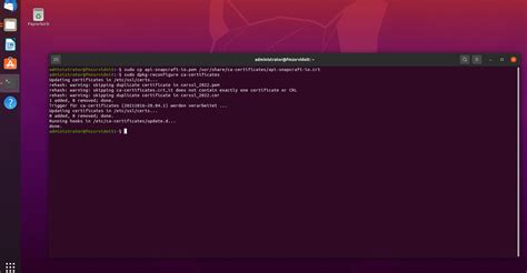 Ubuntu Linux SSL Zertifikat Import