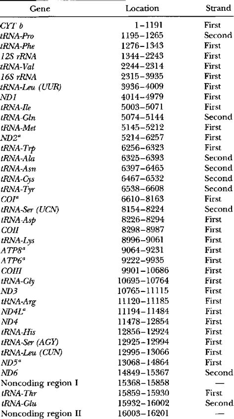 Location And Coding Strand Of Each Gene In The Sea Lamprey