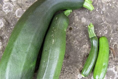 Lesley Keating These Wonky Fruit And Veg Labels Are Just Bananas