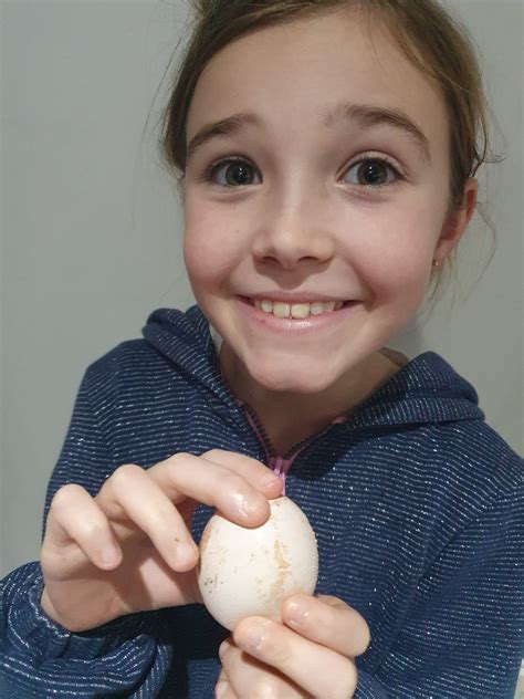 Giant Green Eggs Chilled Education