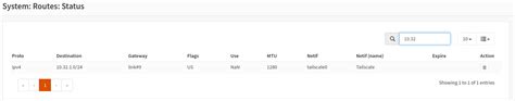 best way to expose a tailscale subnet on opnsense networking