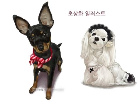 반려동물 일러스트 캐리커처 그려 드립니다 크몽