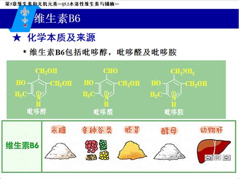 全屏显示课程 章节