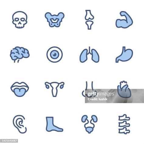 Pixel Human Heart Photos And Premium High Res Pictures Getty Images