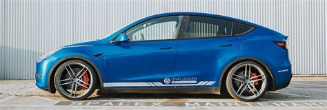 Model Y Archives Unplugged Performance